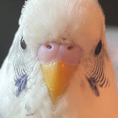 Create a Roblox Material Textures Tier List - TierMaker