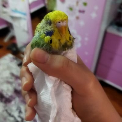 Create a SCP Tower Defense Towers Tier List - TierMaker