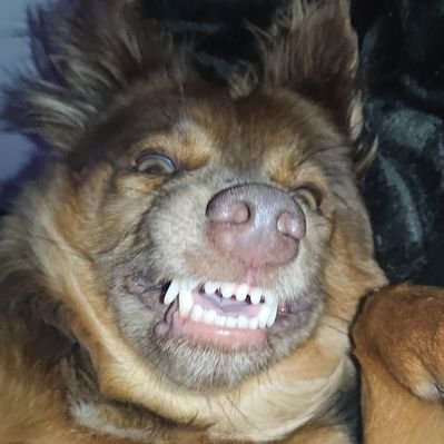 Create a Enchanted books Tier List - TierMaker