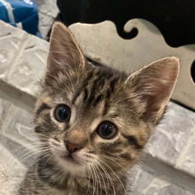 Create a Random Game Soundtrack Tier List - TierMaker