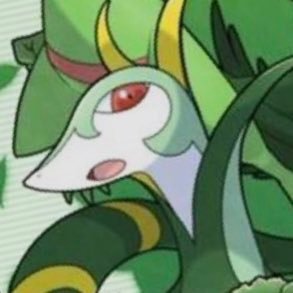 Create a All Paparia Games Tier List - TierMaker