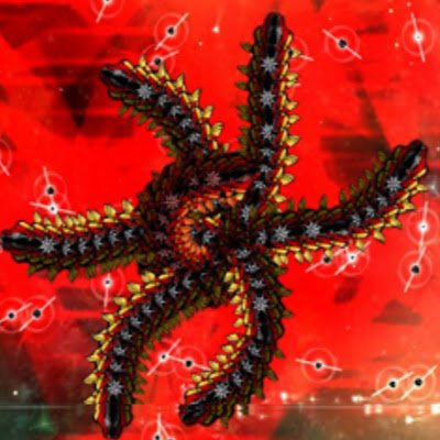 Create a Sea creatures Tier List - TierMaker