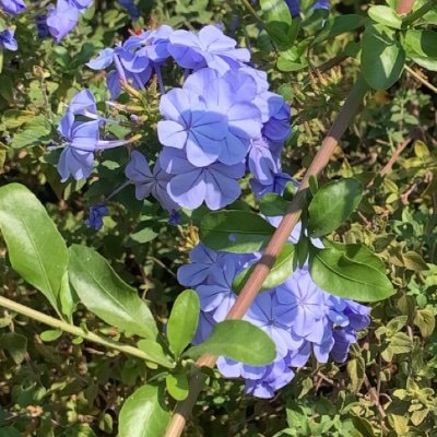 Create a Hyperfixation Tier List - TierMaker