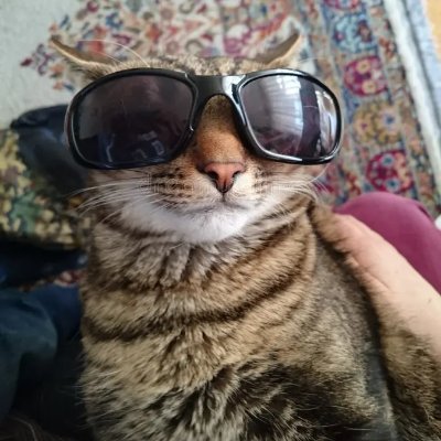 Create a Evade - All Maps (September 2023) Tier List - TierMaker