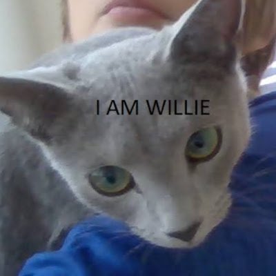 Create a triangle Tier List - TierMaker