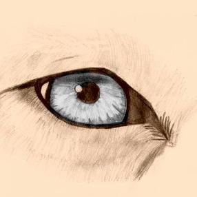 Create a Power Rangers Drip Tier List - TierMaker