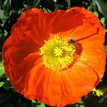 Create a SMT Masayuki Doi Demon Designs (SPOILERS) Tier List - TierMaker