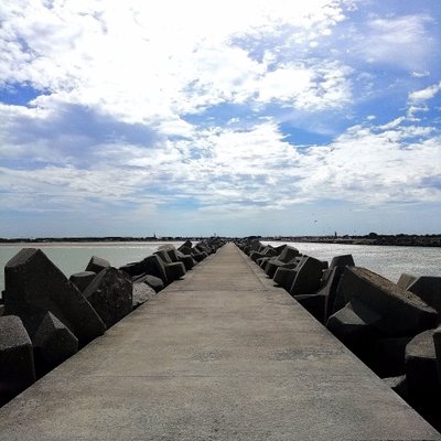 Simpsons Treehouse of Horror Segment Ranking Tier List (Community ...