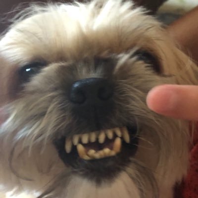 MM2 Effects Tier List (Community Rankings) - TierMaker