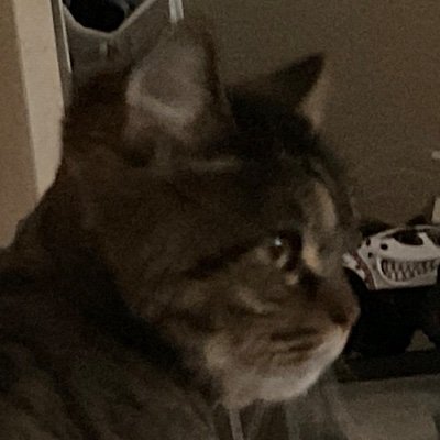 Numberblocks (Updated) Tier List (Community Rankings) - TierMaker