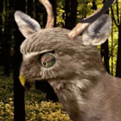 All Peglin Relics Tier List (Community Rankings) - TierMaker