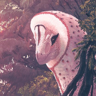 PoT Deinonychus skin Tier List (Community Rankings) - TierMaker