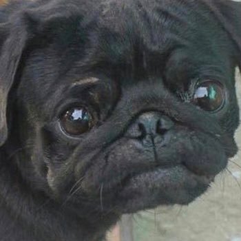 Create a Arcade Prize Tier List - TierMaker