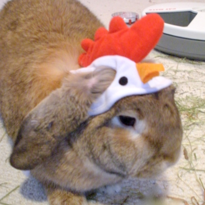 Bee Swarm Simulator - Gifted Edition Tier List (Community Rankings ...