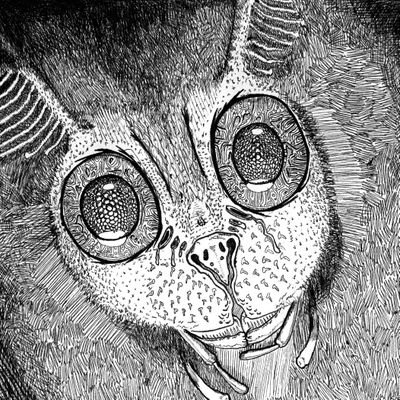 Create a Common sorting algorithms Tier List - TierMaker