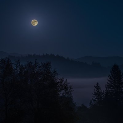 find the chomik (5 normal chomiks) Tier List (Community Rankings ...