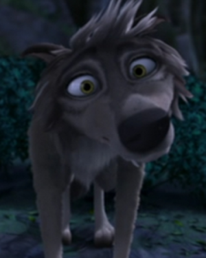 Alpha And Omega Shaky