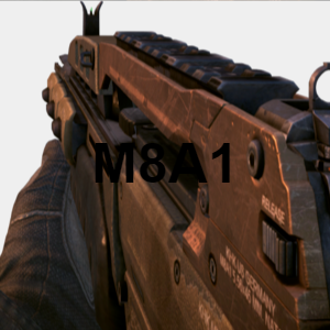 bo2 smr