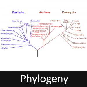 scientific fields list