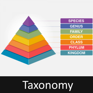 science category list