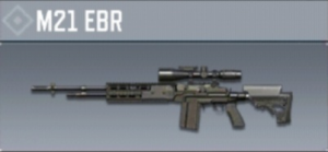m21 gun codm