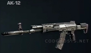 cod ghosts ak 12