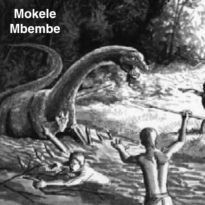 Create A Cryptids Allstars Edition Tier List Tiermaker Create A