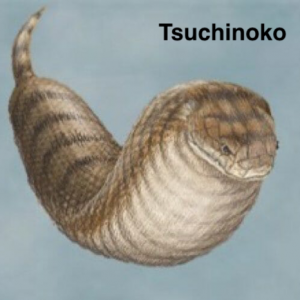 Create A Cryptids Allstars Edition Tier List Tiermaker Create A