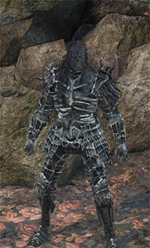Dark Souls Darkwraith Covenant