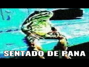 Memes Sentados