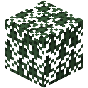 spruce texture blocks