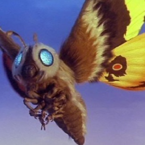 mothra tier list