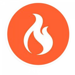 Simbolo De Fogo Pokemon Fogo Chama Logotipo Símbolo Resumo Fogo Vetor