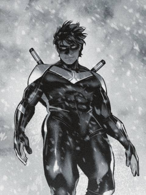 nightwing suits ranked
