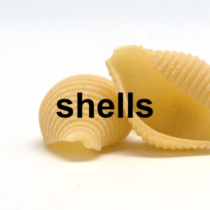 shell noodles name