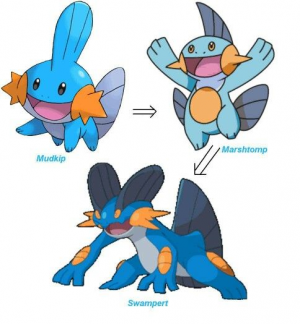 marshtomp evolution line