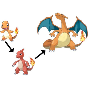 charmander evolution line