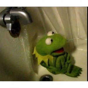kermit crying