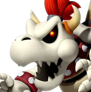 dry bowser spirit