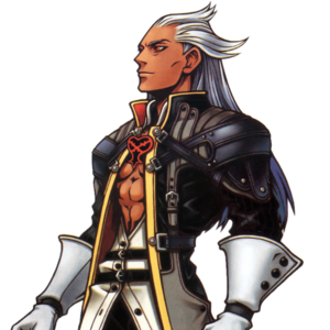 Ansem Kingdom Hearts Cosplay