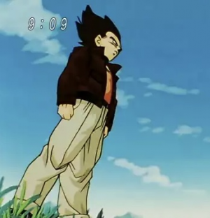 vegeta normal clothes