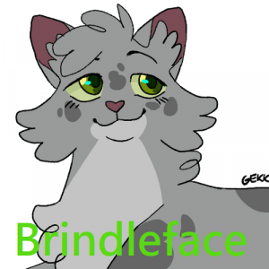 Warrior Cats Brindleface Create A Warrior Cats Characters Tier List