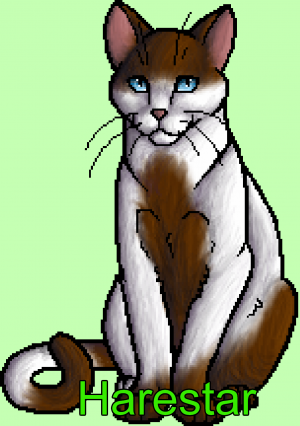 windclan warriors list