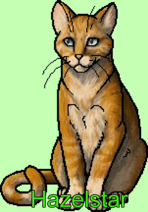 windclan warriors list