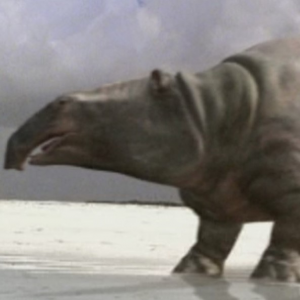 walking with beasts moeritherium