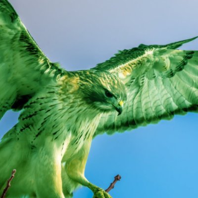 Every Pokémon Tier List (Community Rankings) - TierMaker