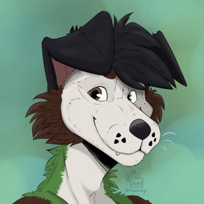 Create a Furry Fandom Species Tier List - TierMaker