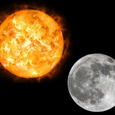 Create a Tiny Toons Characters Tier List - TierMaker