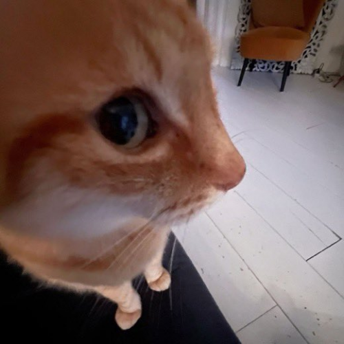 hard bonus Tier List (Community Rankings) - TierMaker