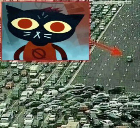 THE DEFINITIVE NITW TWT TIERLIST Tier List (Community Rankings) - TierMaker